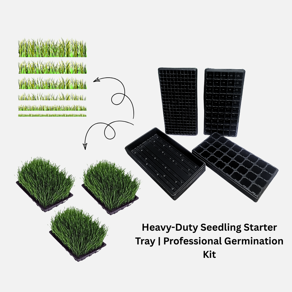 32-Cell Heavy-Duty Seedling Starter Tray | Professional Germination Kit ...